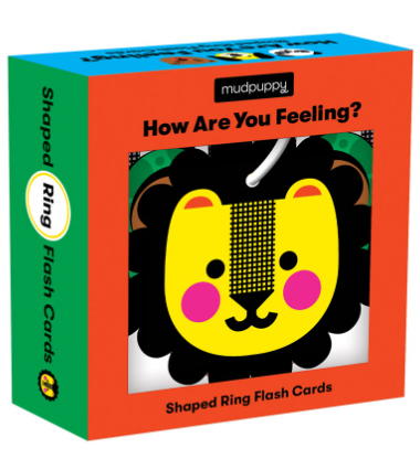 How Are You Feeling Flashcards | *play — toys • books • gifts